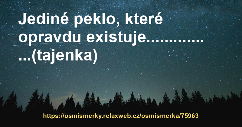 Osmisměrka #75963 - Jediné peklo, které opravdu existuje.......